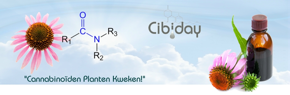 Cannabinoïden in andere Planten - Diverse Cannabimimetica zelf Kweken!