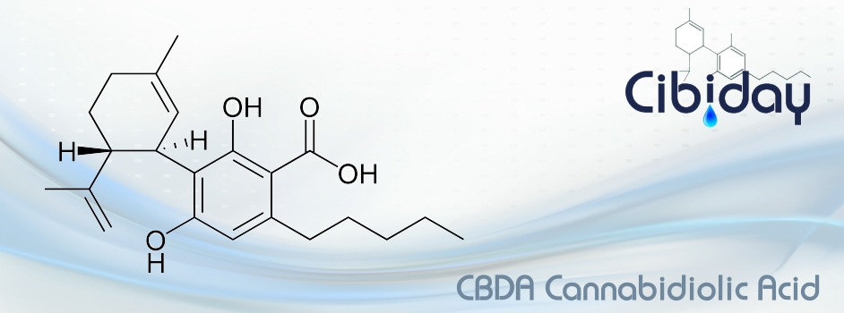 CBDA - Cannabidiolic acid / cannabidiolzuur - Wat is CBDA?