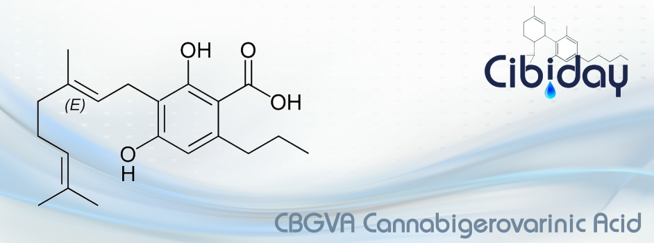 CBGVA -Á Cannabigerovarinic acid /Á cannabigerovarinezuur - Wat is CBGVA