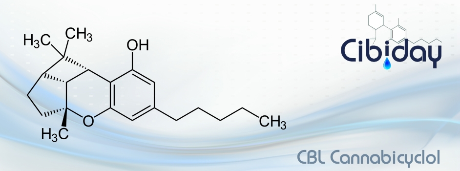 CBL -Á Cannabicyclol Cannabinoïde - Wat is CBL?