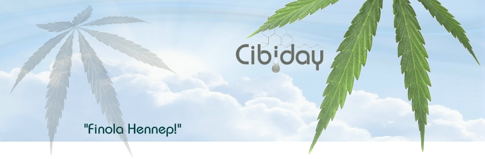Finola Hennep - CBD-rijke Hennepplanten - Finola Hennepras